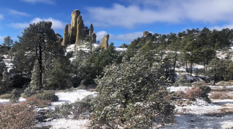 ¿Cómo se viven las estaciones del año en el Chepe Express? - Chepe ...